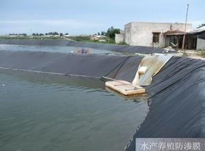 China 1-8 Meter width HDPE geomembrane dam liner suppliers with suitable price by sincere manufacturers in CN supplier