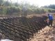 100mm 150mm HDPE plastic geocell geoweb geocell hdpe typar soil stablization geoweb geocell retaining wall supplier