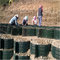 100mm height textured surface HDPE Geocell plastic typar geo geoweb geocell hdpe retainning wall slope protection supplier