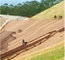 biodegradable erosion control blanket slope reinforcement factory price supplier